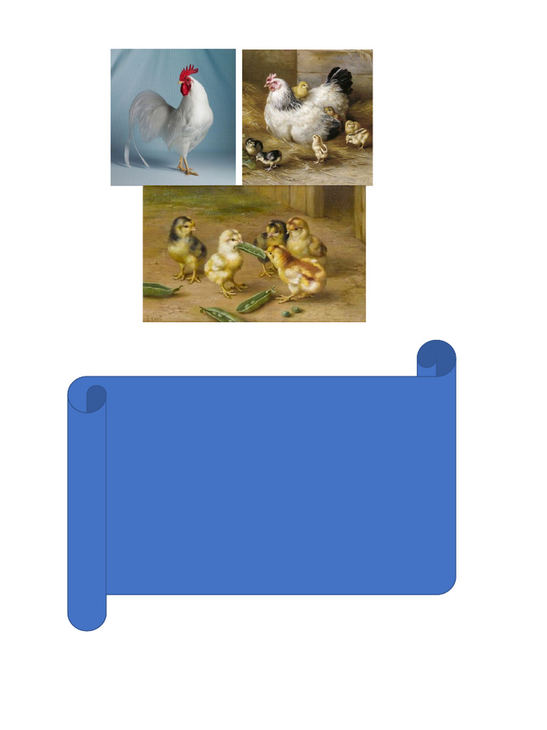 Cocosul Si Gaina | PDF