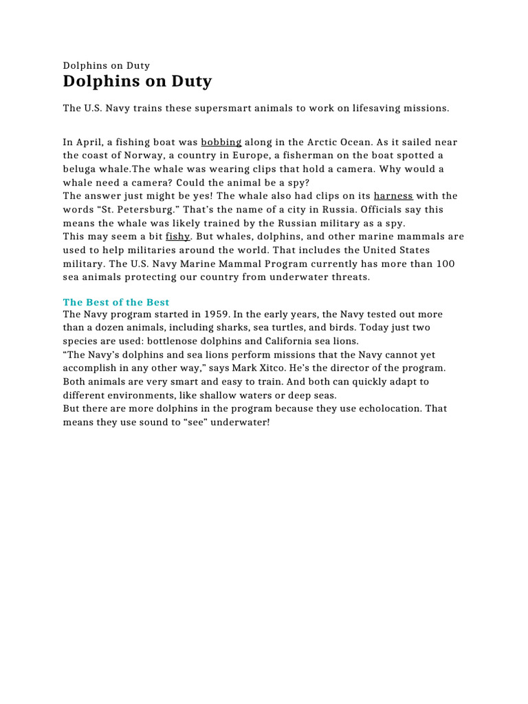 1. Dolphins on duty | PDF | Dolphin | Whales