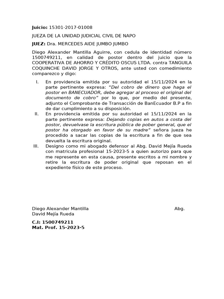 Designacion y Devolucion de Poder Diego Mantilla | PDF