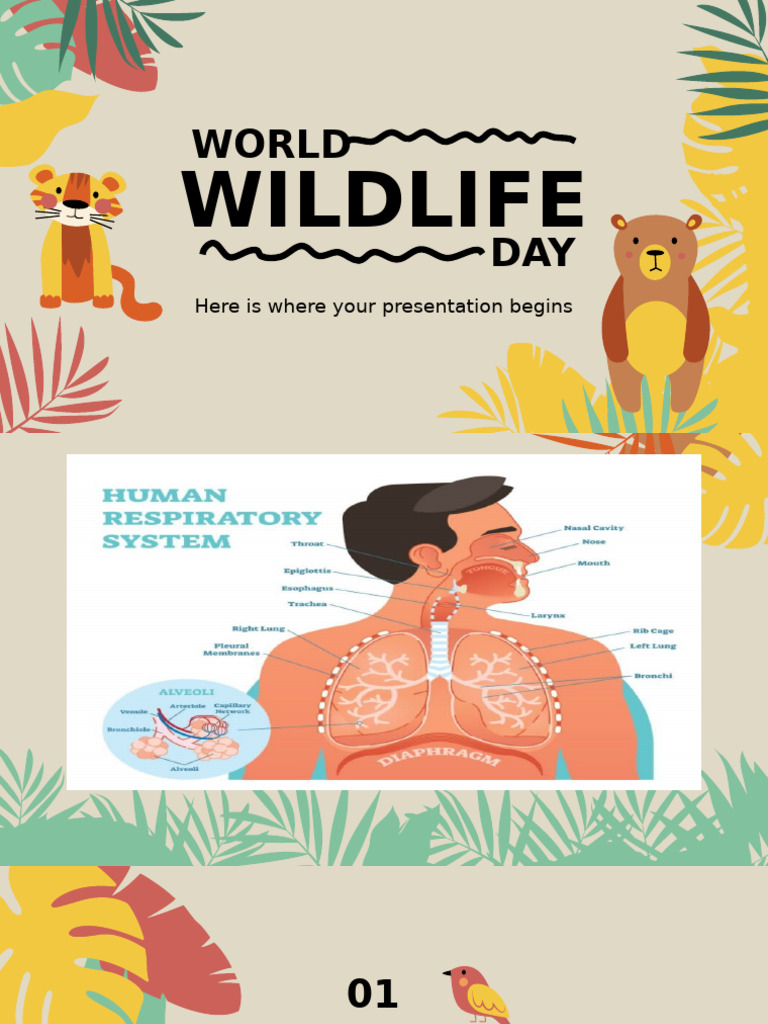 Pernafasan R. AYYU | PDF