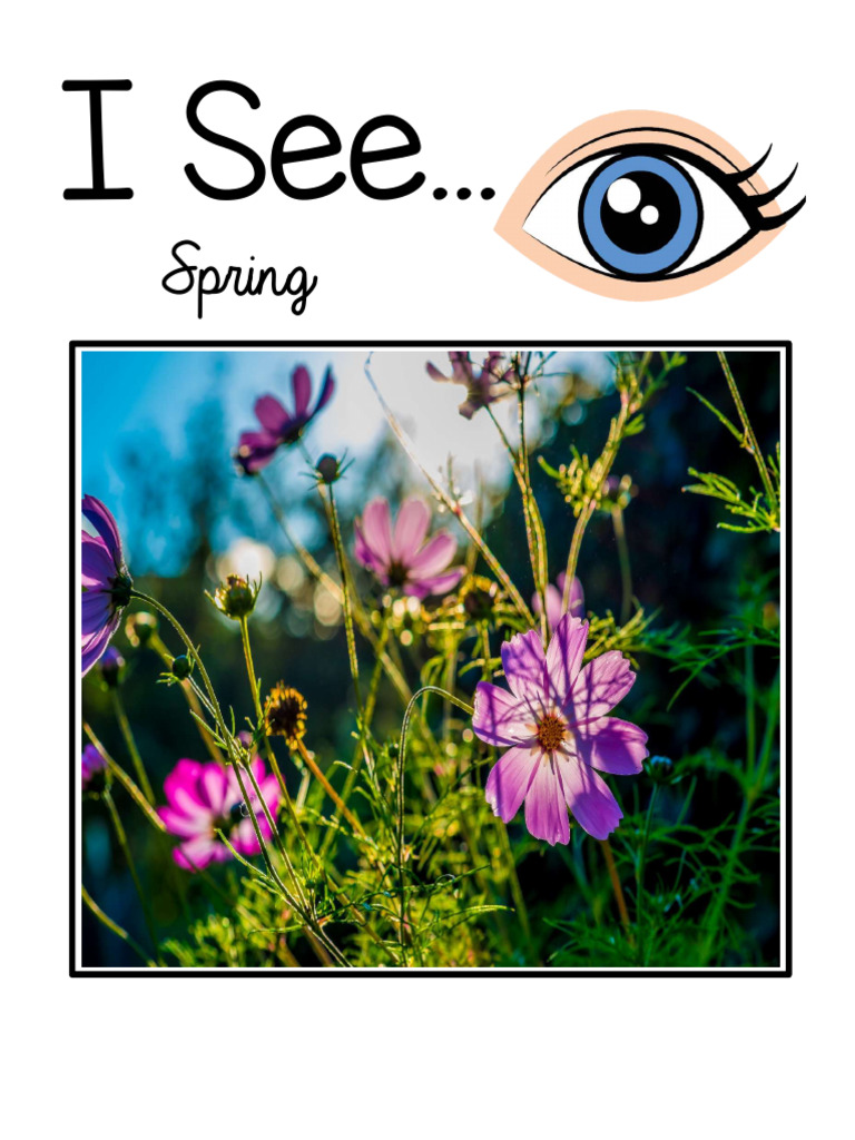 Spring Animals and Nature Riddles | PDF