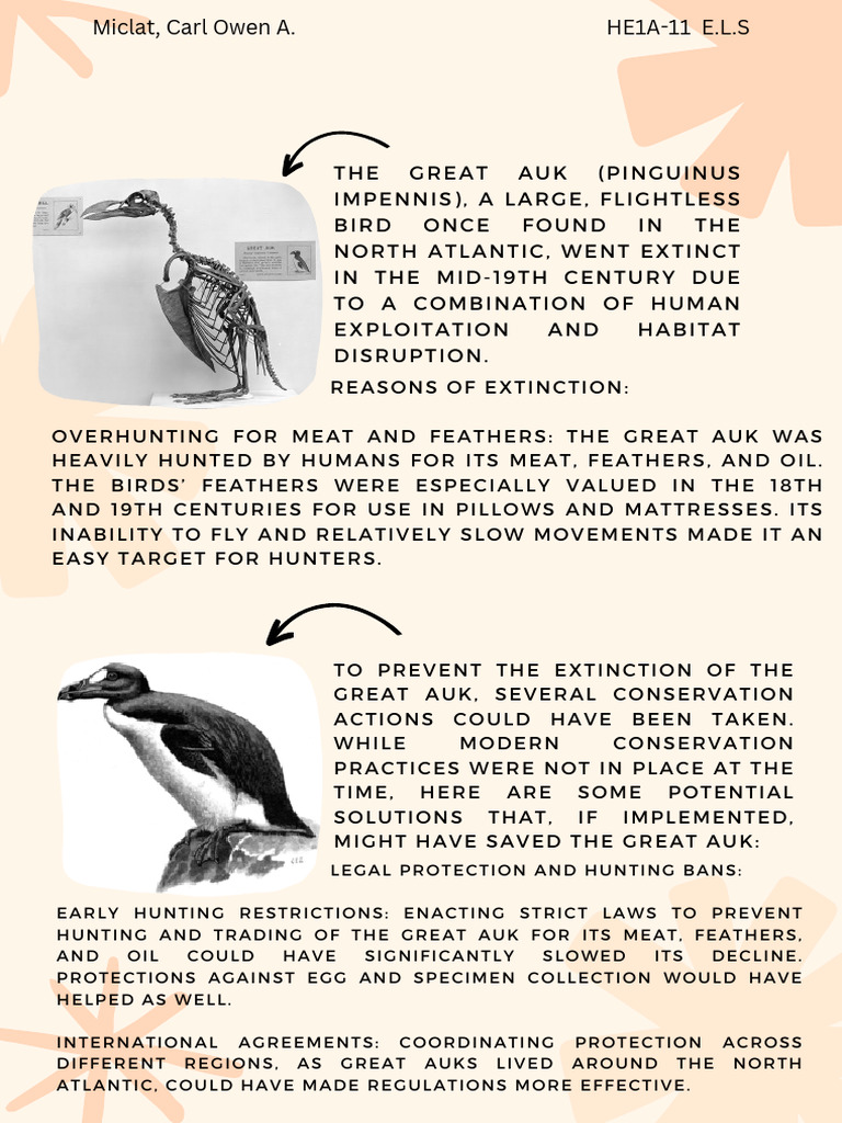 Peach and White Learning Journey Poster - 20241127 - 063911 - 0000 | PDF