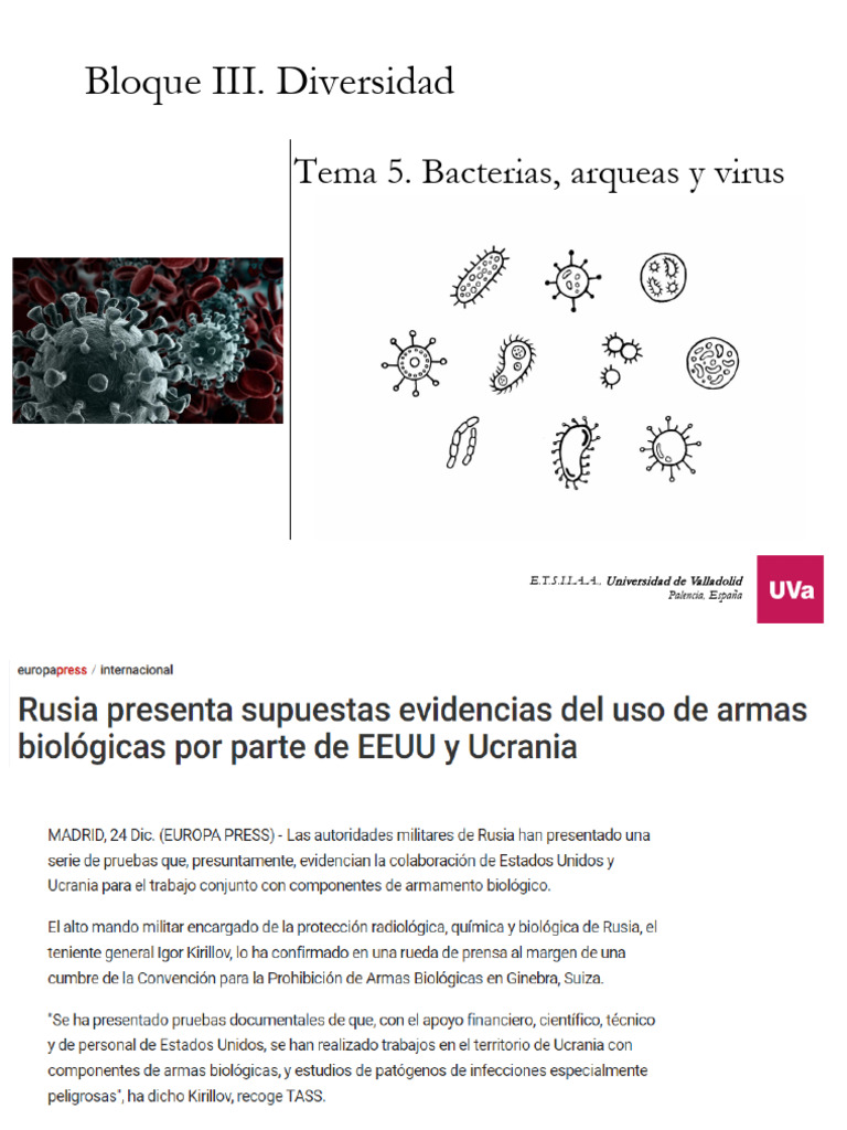 Arqueas y virus: diversidad y características | PDF | Las bacterias ...