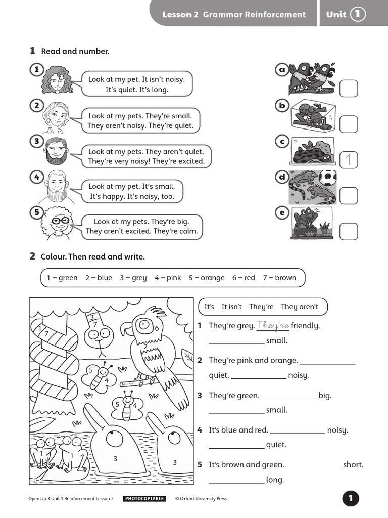 Open Up 3 Unit 1 Grammar Reinforcement | PDF