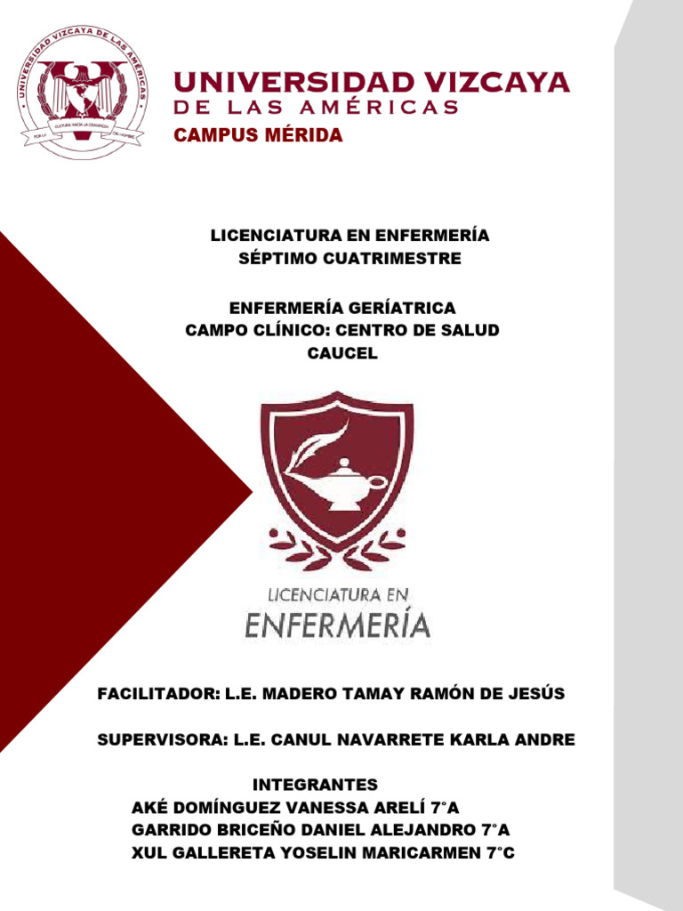 PORTADAS Proy Geria | PDF