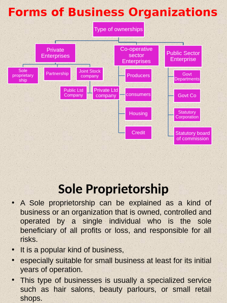 Business Ownership Types Guide | PDF | Partnership | Joint Stock Company
