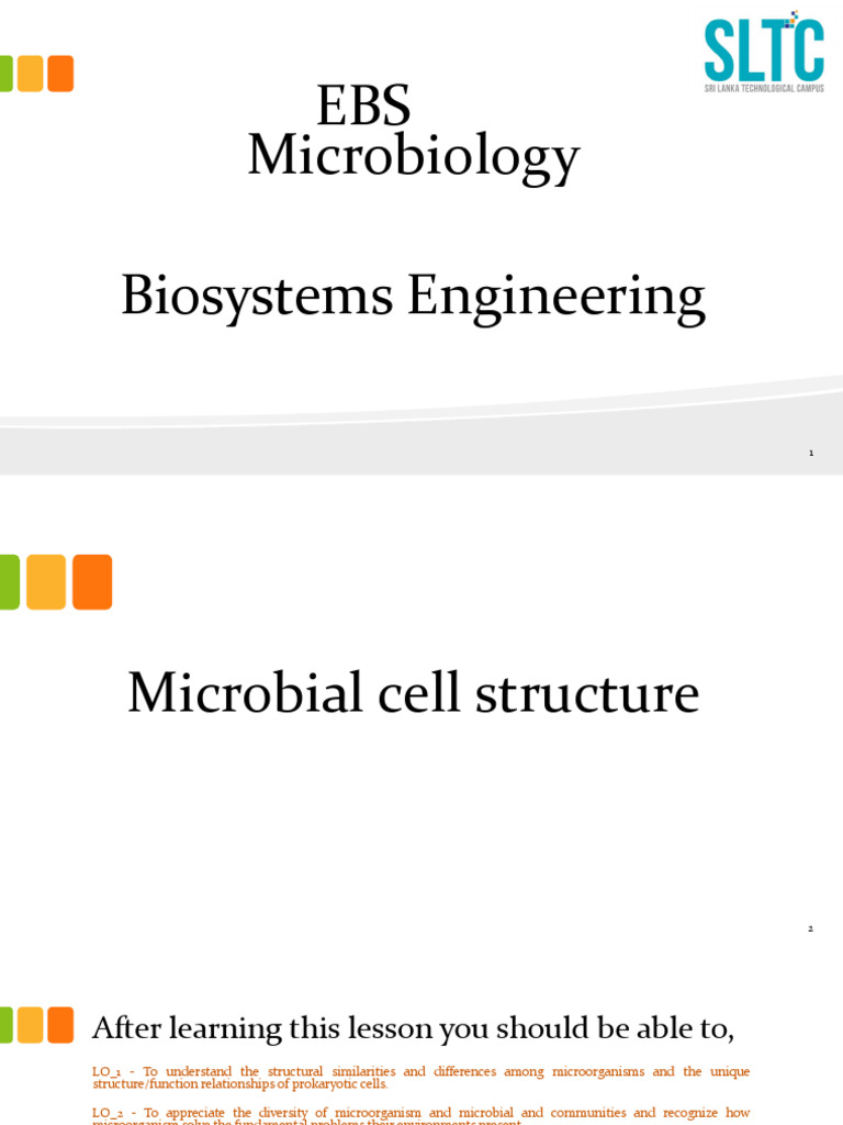 Lecture 4 - Cell Structure - Part 02 | PDF | Cell Nucleus | Endoplasmic Reticulum