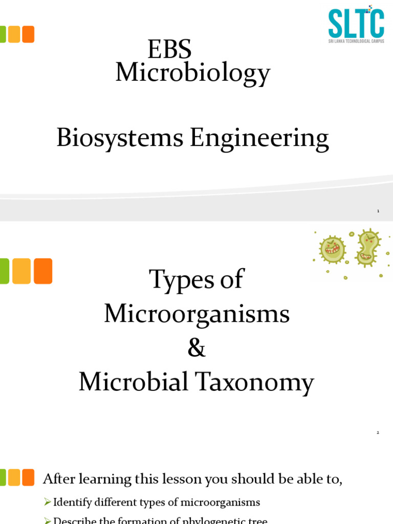 Lecture 3 - Types of Microorganisms (EBS_2021_Mar) | PDF | Archaea ...