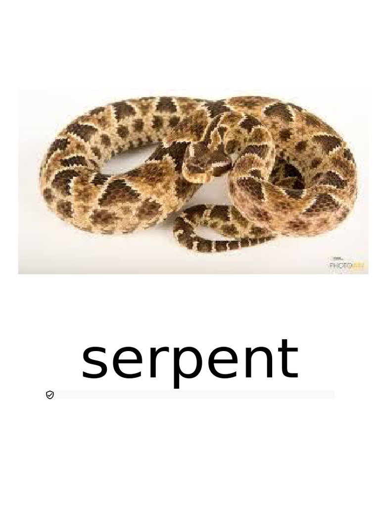 Serpent | PDF