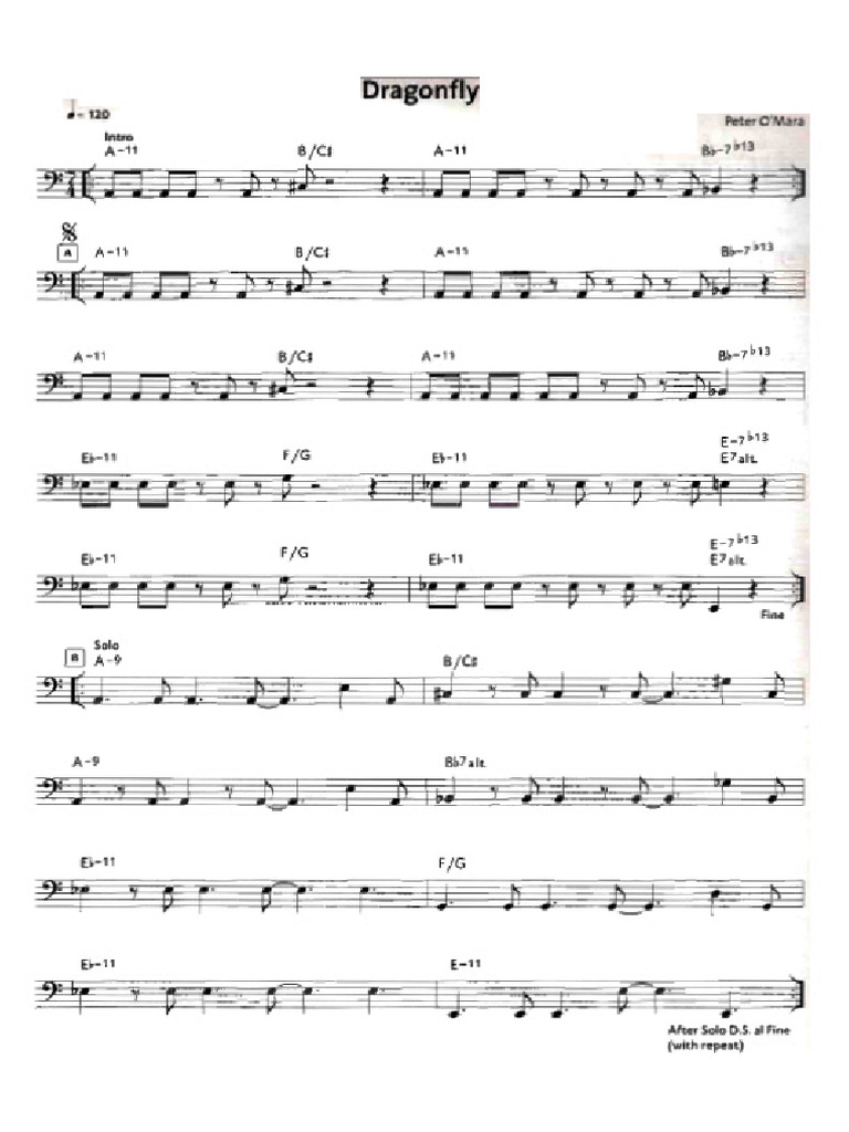 Dragonfly | PDF