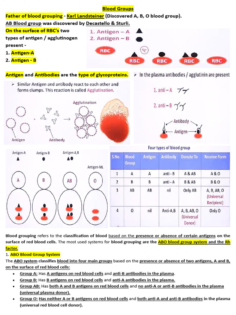 Understanding Blood Groups and Rh Factor | PDF | Blood Type | Tissue ...