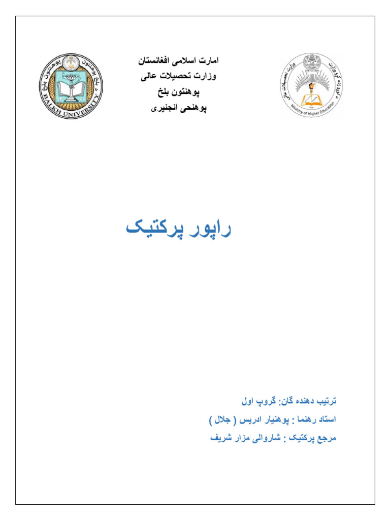 Practical Report | PDF