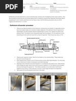 Earthworm Anatomy Dissection Worksheet | PDF | Digestion | Human Anatomy