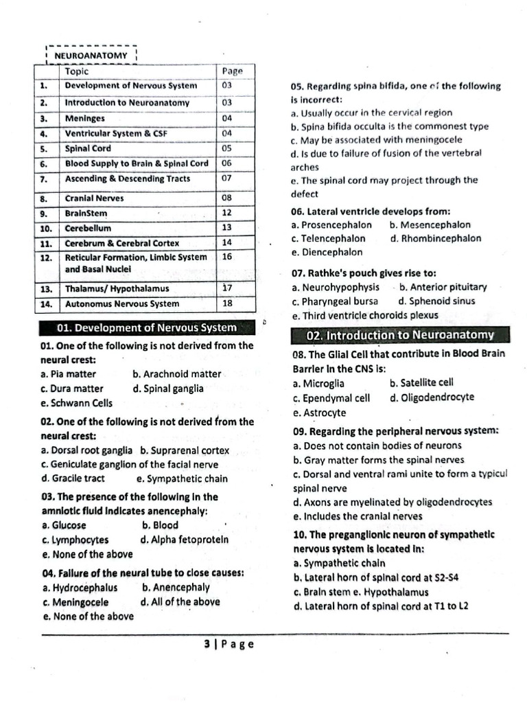 Super 6 Second Year | PDF