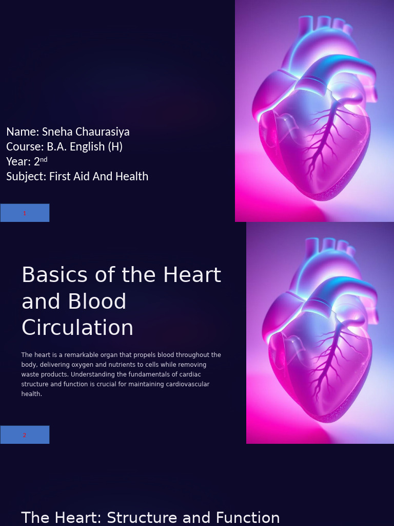Basics-of-the-Heart-and-Blood-Circulation | PDF | Heart | Blood Vessel