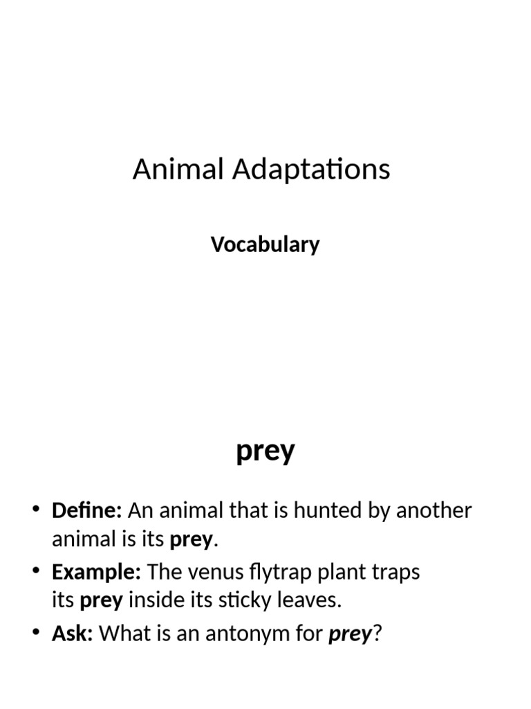 Animal Adaptations - Vocabulary | PDF