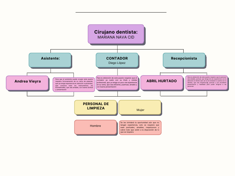 Pink Colorful Modern Organizational Chart Graph | PDF | Cuidado de la salud
