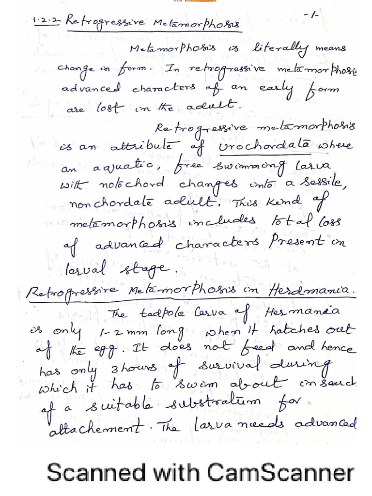 Retrogressive Metamorphosis | PDF