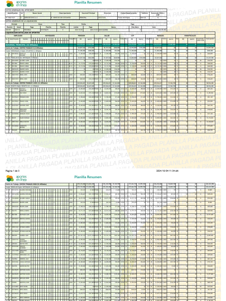 0.3 Planilla Resumen | PDF | Sector privado | Dinero