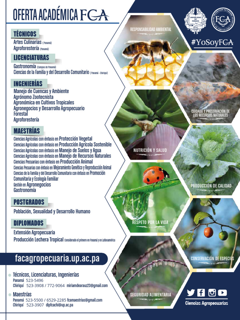 FCA Generico Oferta 2020web | PDF | Agronomía | Agricultura