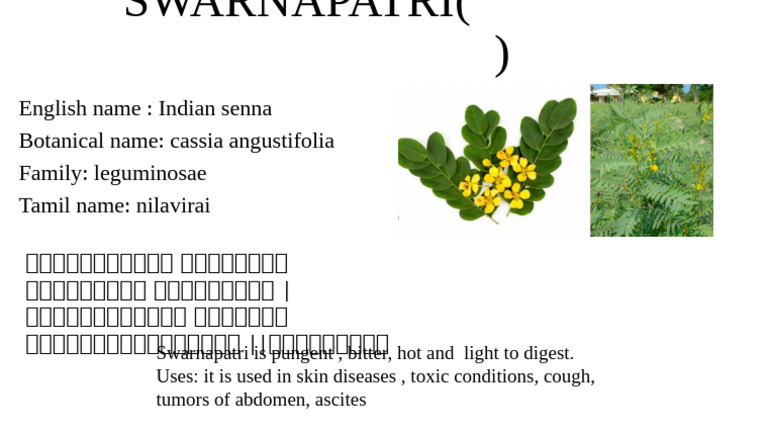 swarnapatri | PDF