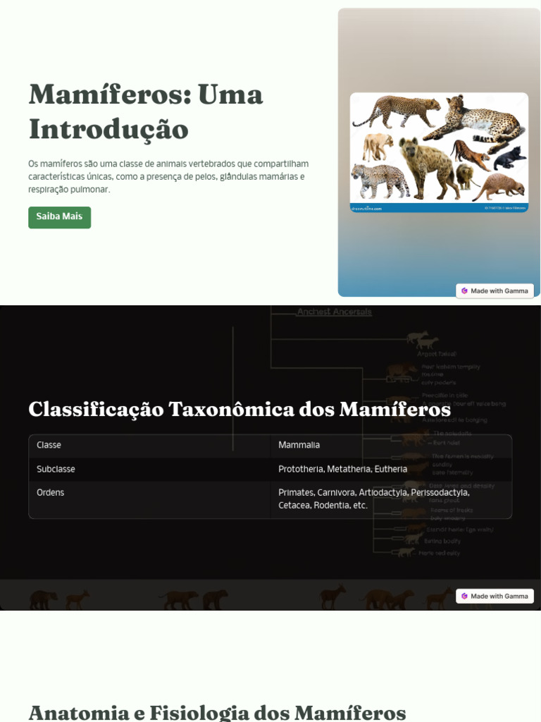 Caracteristicas Gerais Dos Mamiferos | PDF