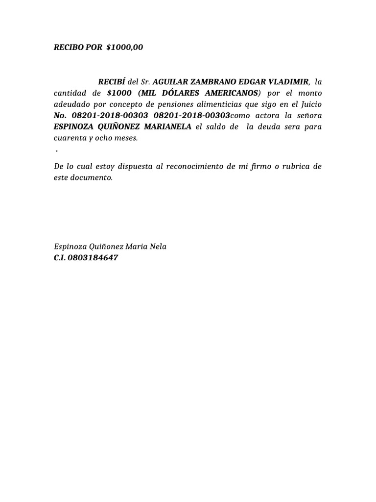 Liquidación de Deuda Alimenticia | PDF