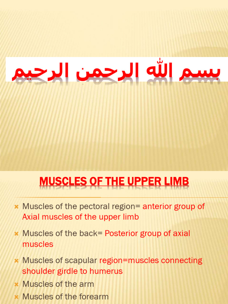 Anatomy (1) - Lecture (4) - Muscles of the Upper Limb (Pectoral , Back ...