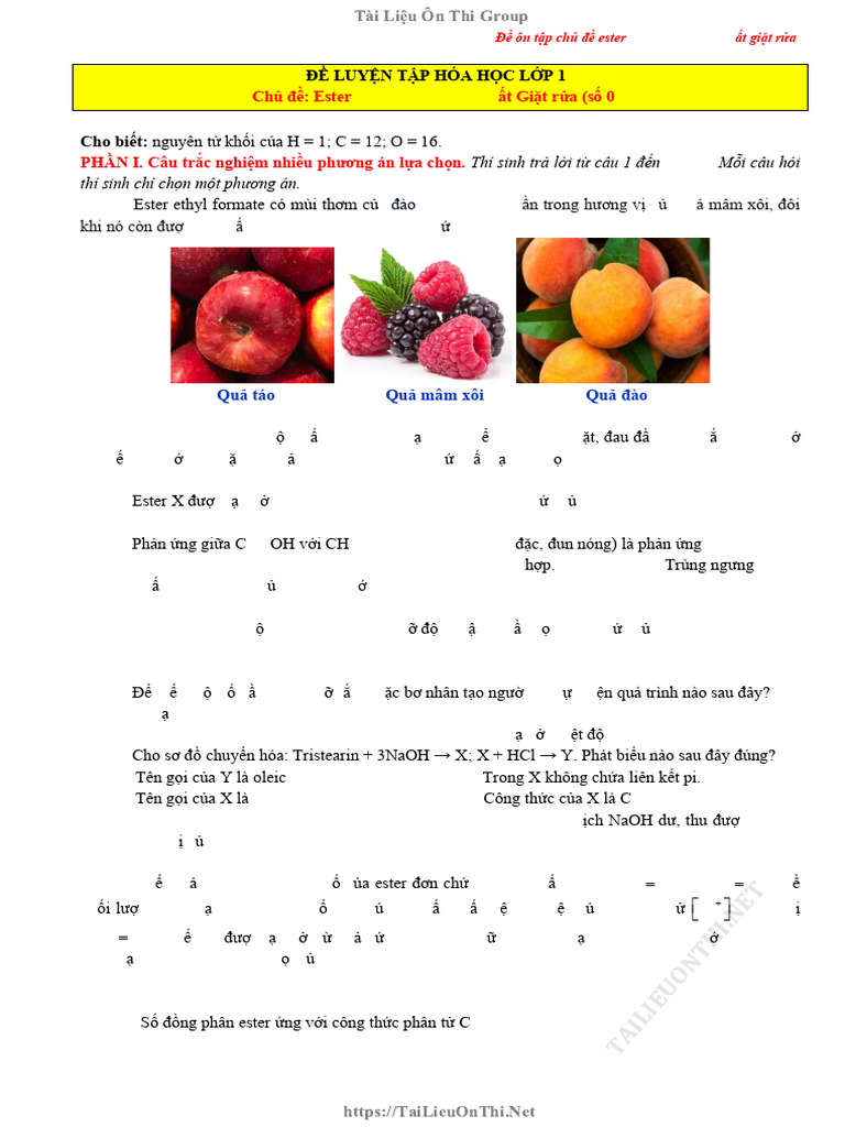 (Tờ 6.3) Hóa 12-Chương 1-Ester-lipid -Đề Luyện Tập Ester Số 03-Đề | PDF