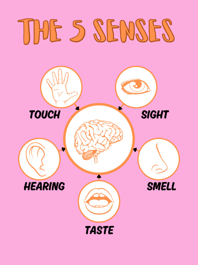 The 5 Senses | PDF