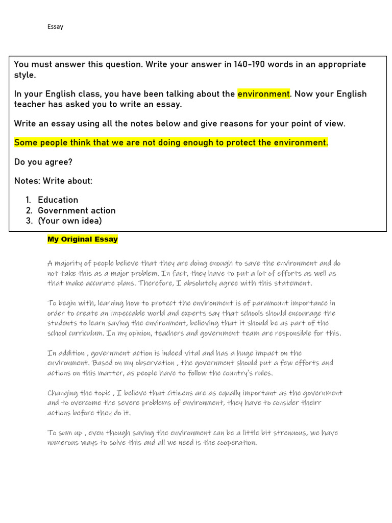 Environment Essay | PDF | Sustainability | Essays