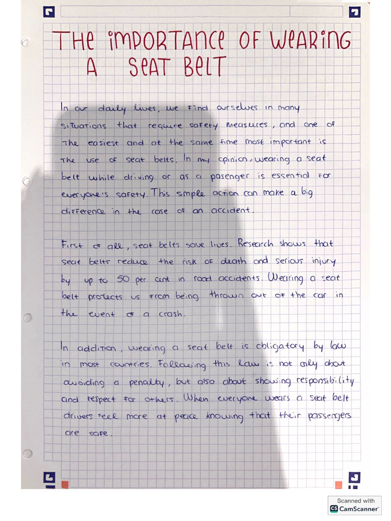 Seat Belt | PDF