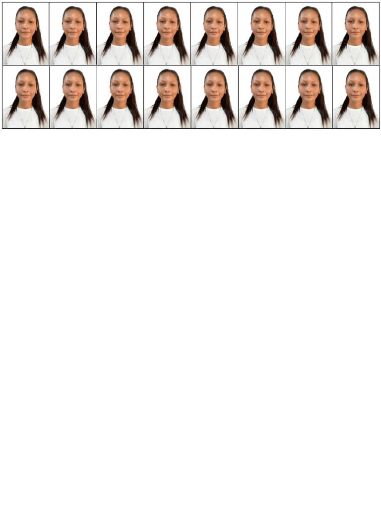 Formato Foto 4x3 - Csopia - 100803 | PDF