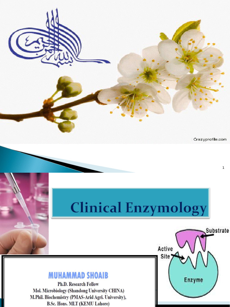 Sem 5 CCLD Lecture Enzymology | PDF | Alanine Transaminase | Lactate ...