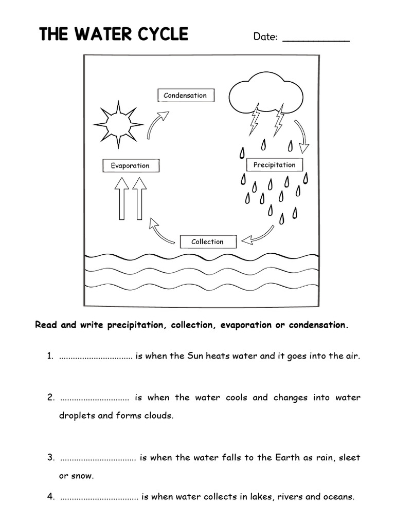 Water cycle definitions wsheet | PDF