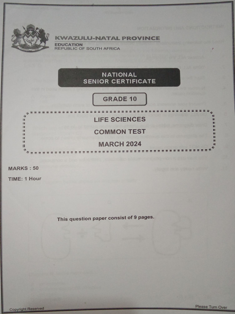 Life Sciences Past Paper 2024 Grade10 | PDF