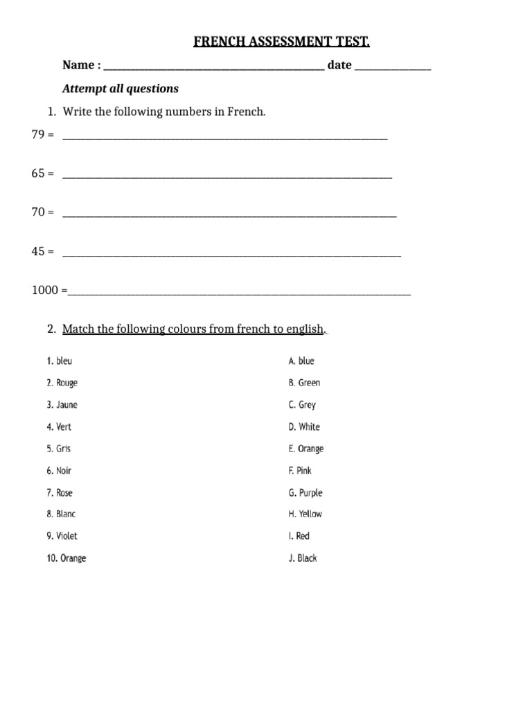 KS3 French Assessment Test | PDF
