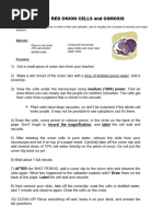 Osmosis Red Onion Cells | PDF | Osmosis | Biology