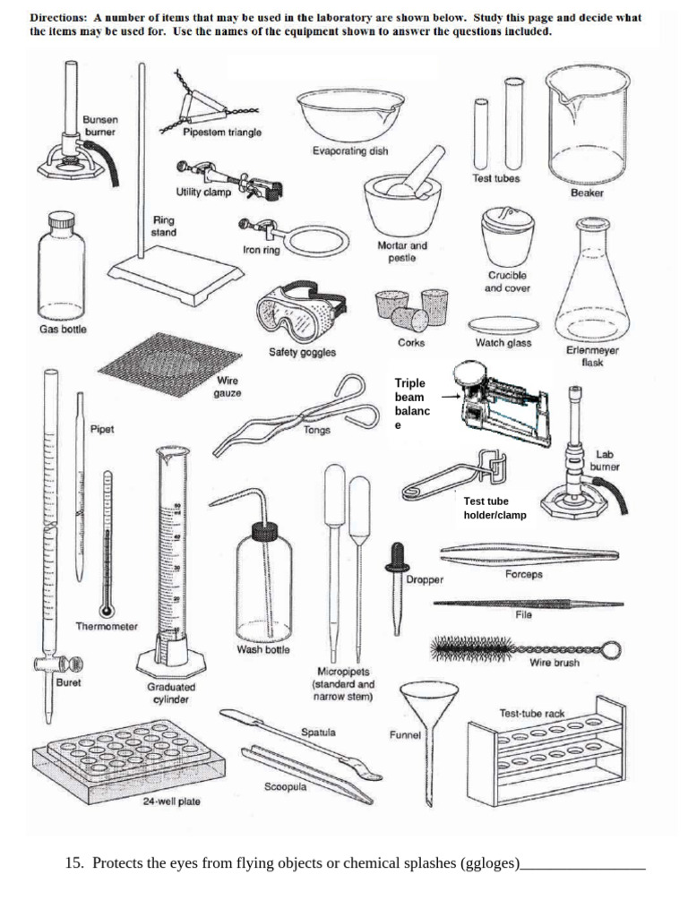 12 Lab Equipment Worksheet Pdf 