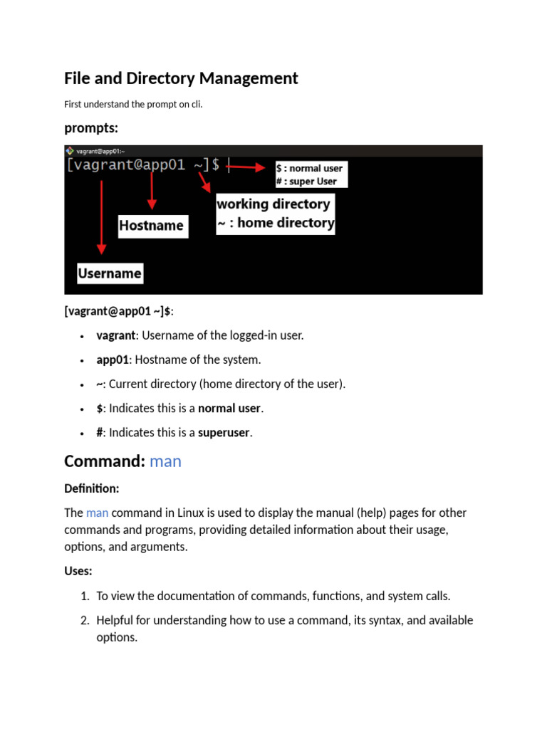 File And Directory Management Pdf Directory Computing Computer File