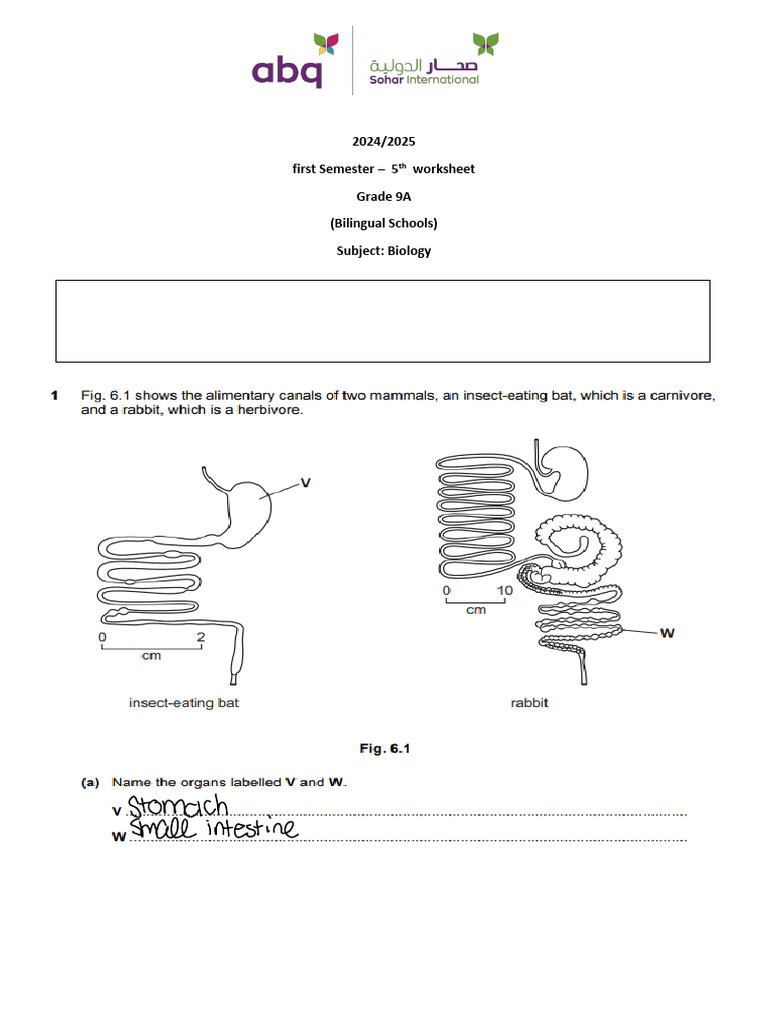 Worksheet Human Nutrition | PDF