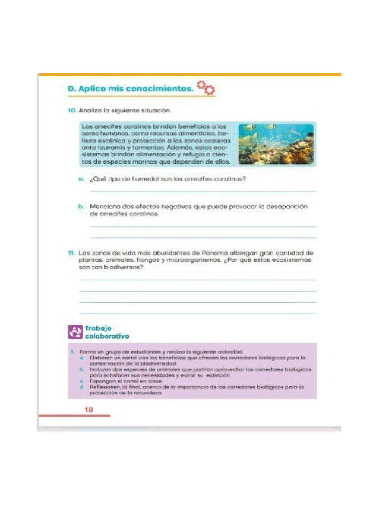 Tarea | PDF