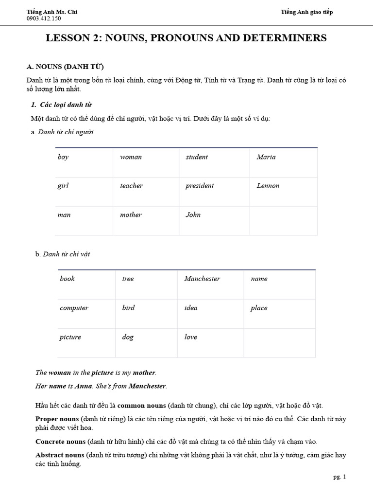 Nouns, Pronouns, and Determiners | PDF