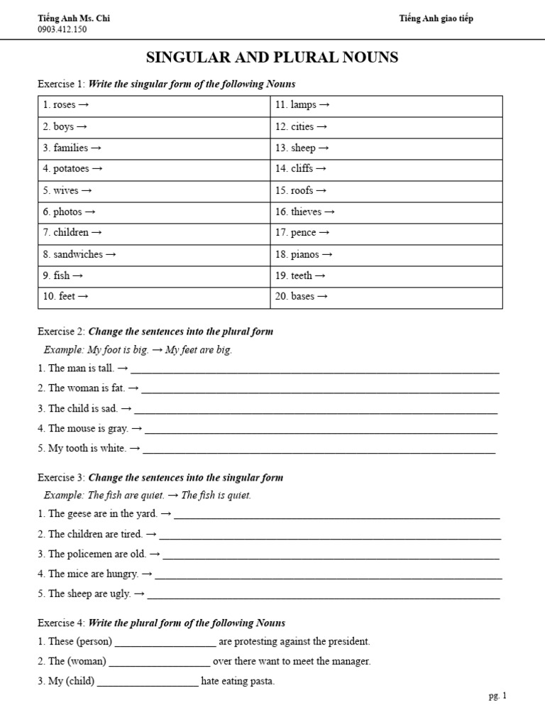 SIngular and Plural Nouns | PDF