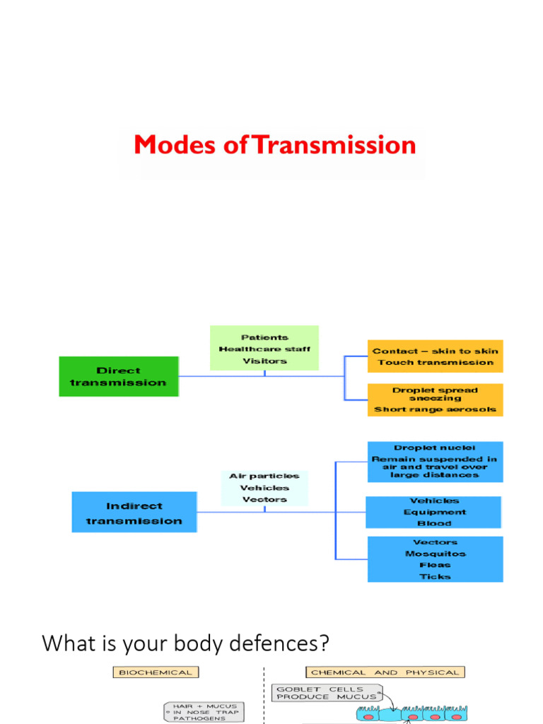 L10 Modes of Transmission | PDF