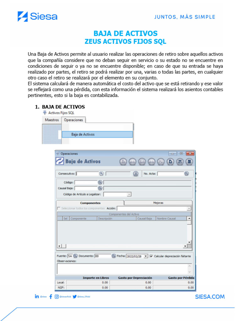 Bajas Activos Zeus ActivosFijos-Zeus | PDF | Contabilidad | Depreciación