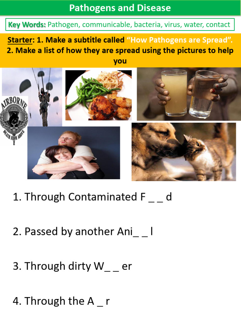 L10 Pathogens and Disease 2 | PDF | Virus | Infection