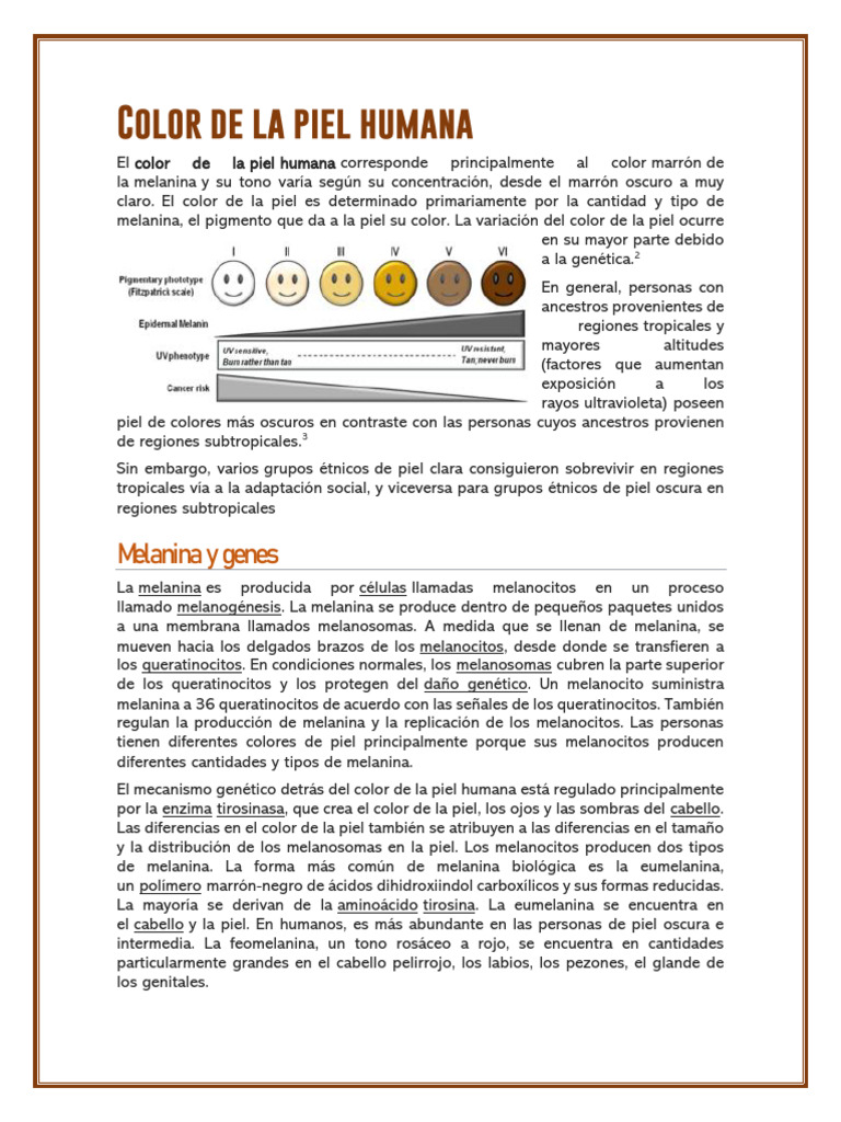 Color de La Piel Humana | PDF | Color de piel humana