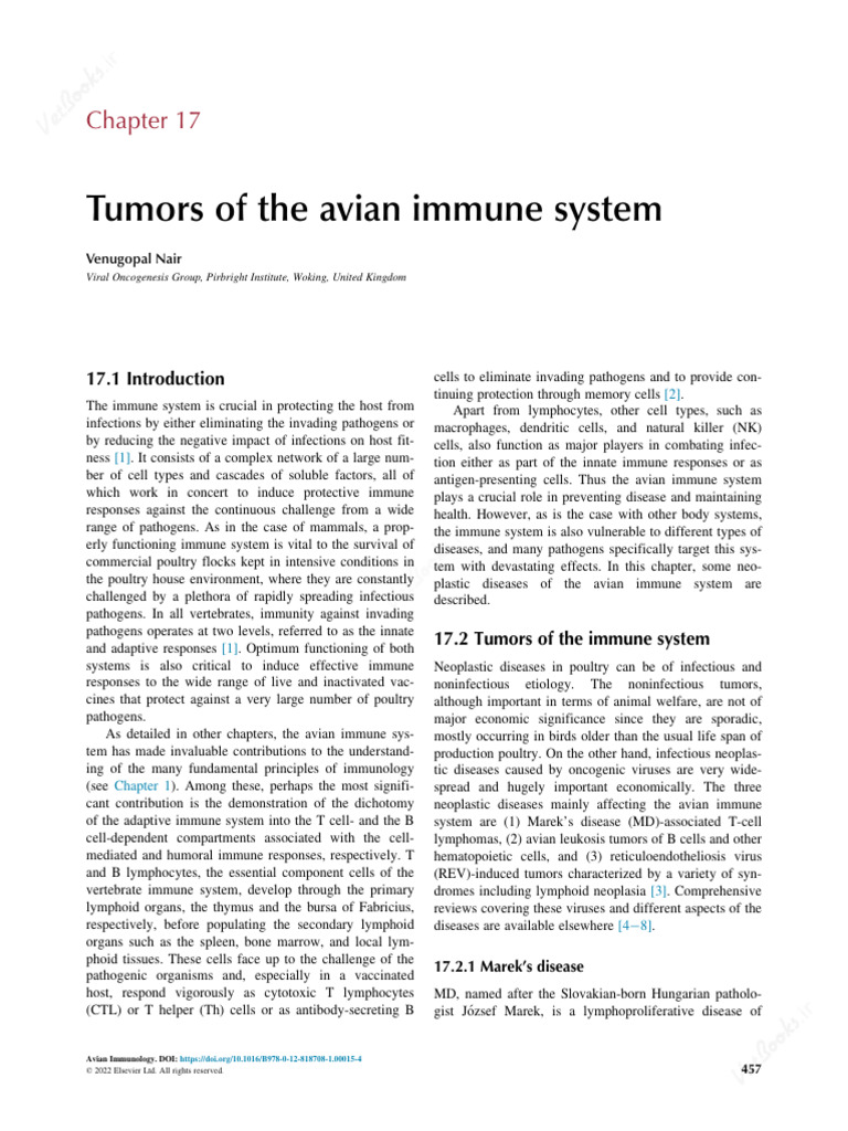 Avian Immunology, 3rd Edition (VetBooks - Ir) - 480-489 | PDF | Immune System | Retrovirus