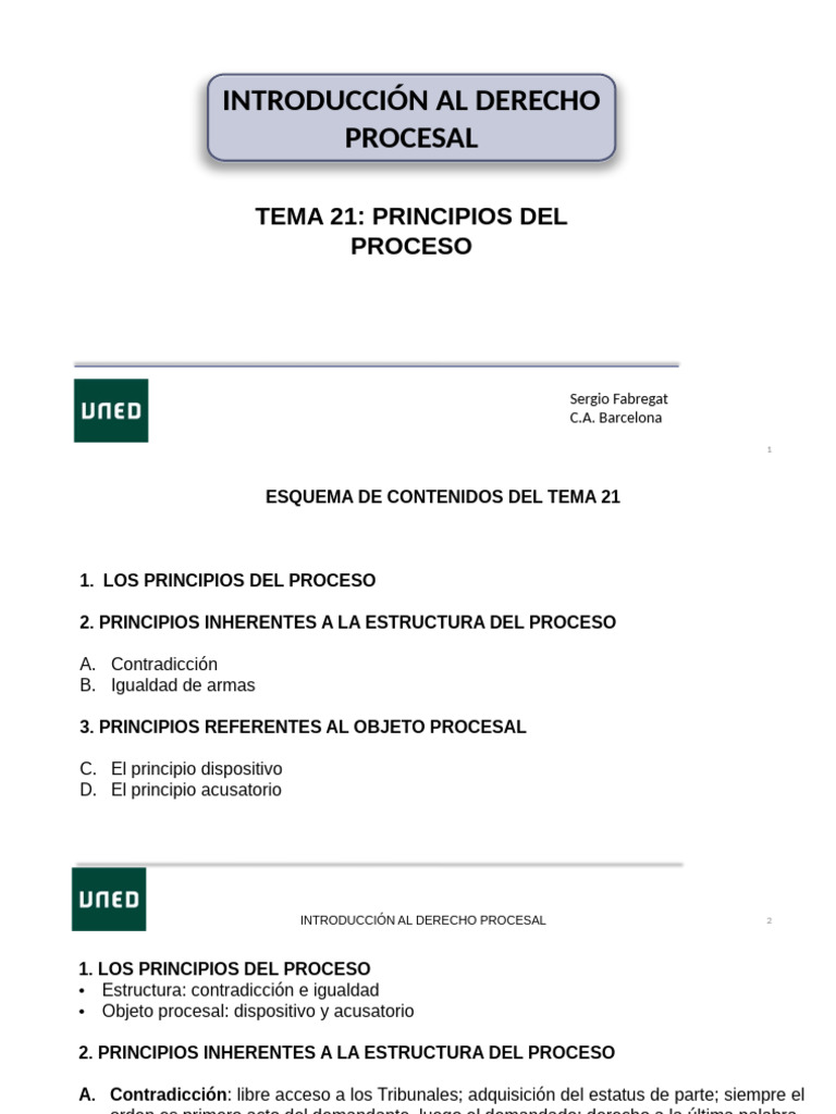 Tema 21 Principios Del Proceso | PDF